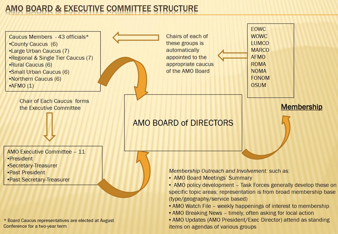 Board and Executive Structure | AMO