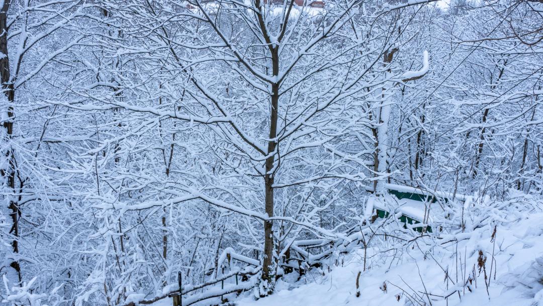 Second Intake of Rural Ontario Development Program Open, $700 Million ...