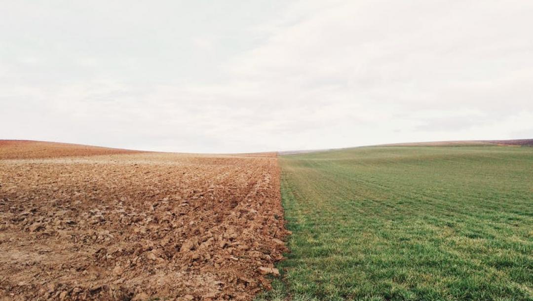 Land-Use Planning, Resources and Climate Change | AMO